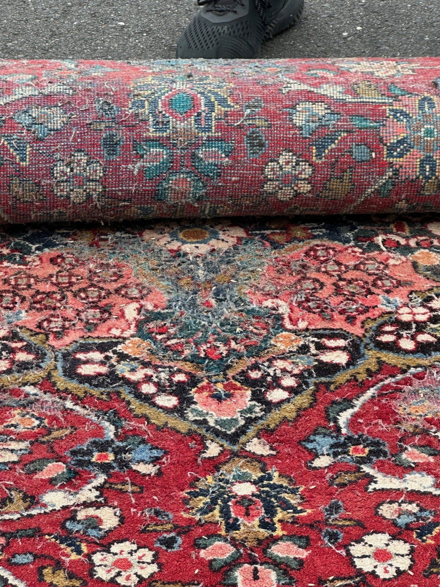 How to Identify and Combat Moth Damage on Your Rug
